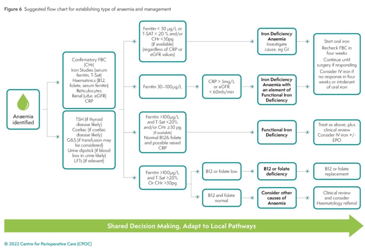 Guideline for the Management of Anaemia in the Perioperative Pathway ...